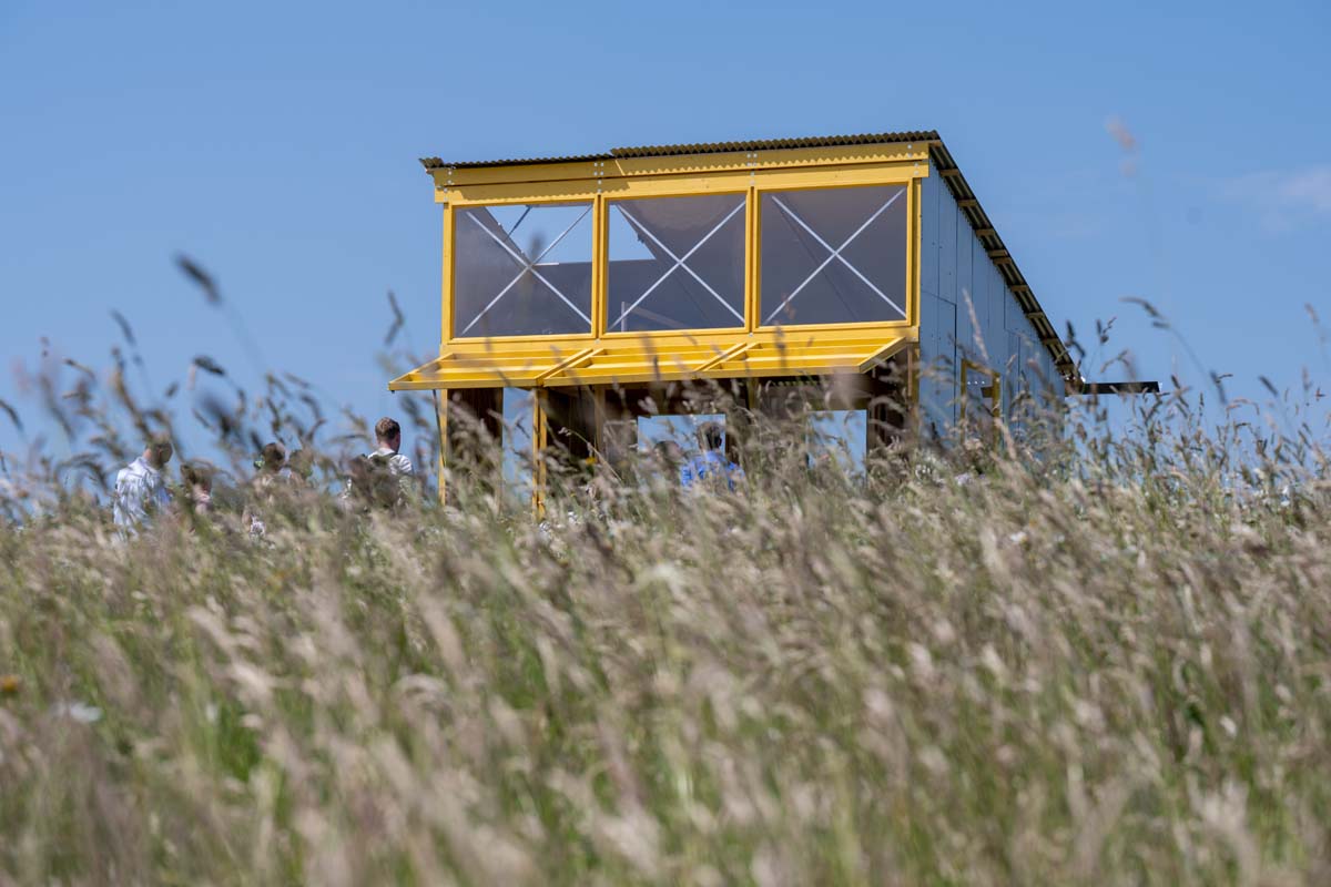 Bog Bothy: A New Peatlands Architecture - IAF