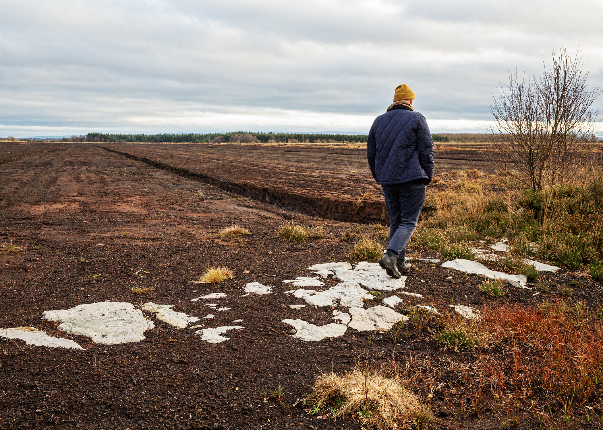 Bog Bothy project update - IAF